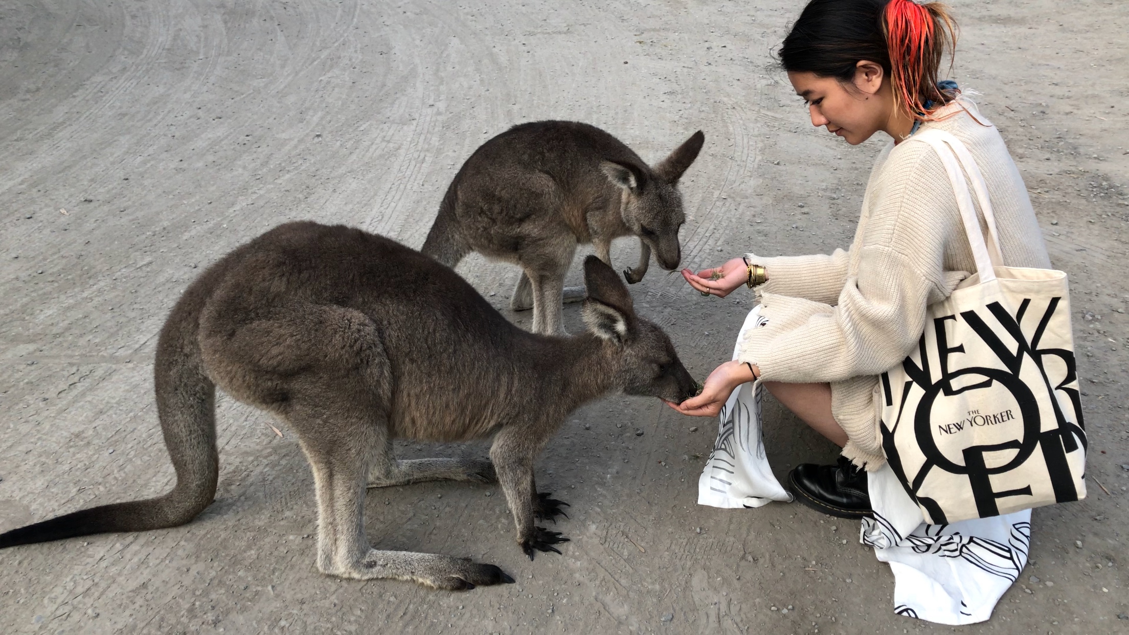 Australian Cellist Rachel Siu | International Blog | The Juilliard School